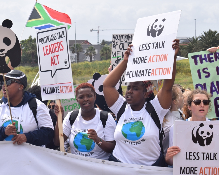 SA businesses and cities join international climate alliance | WWF ...