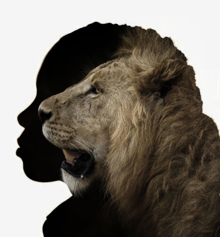 Spirit animal | WWF South Africa